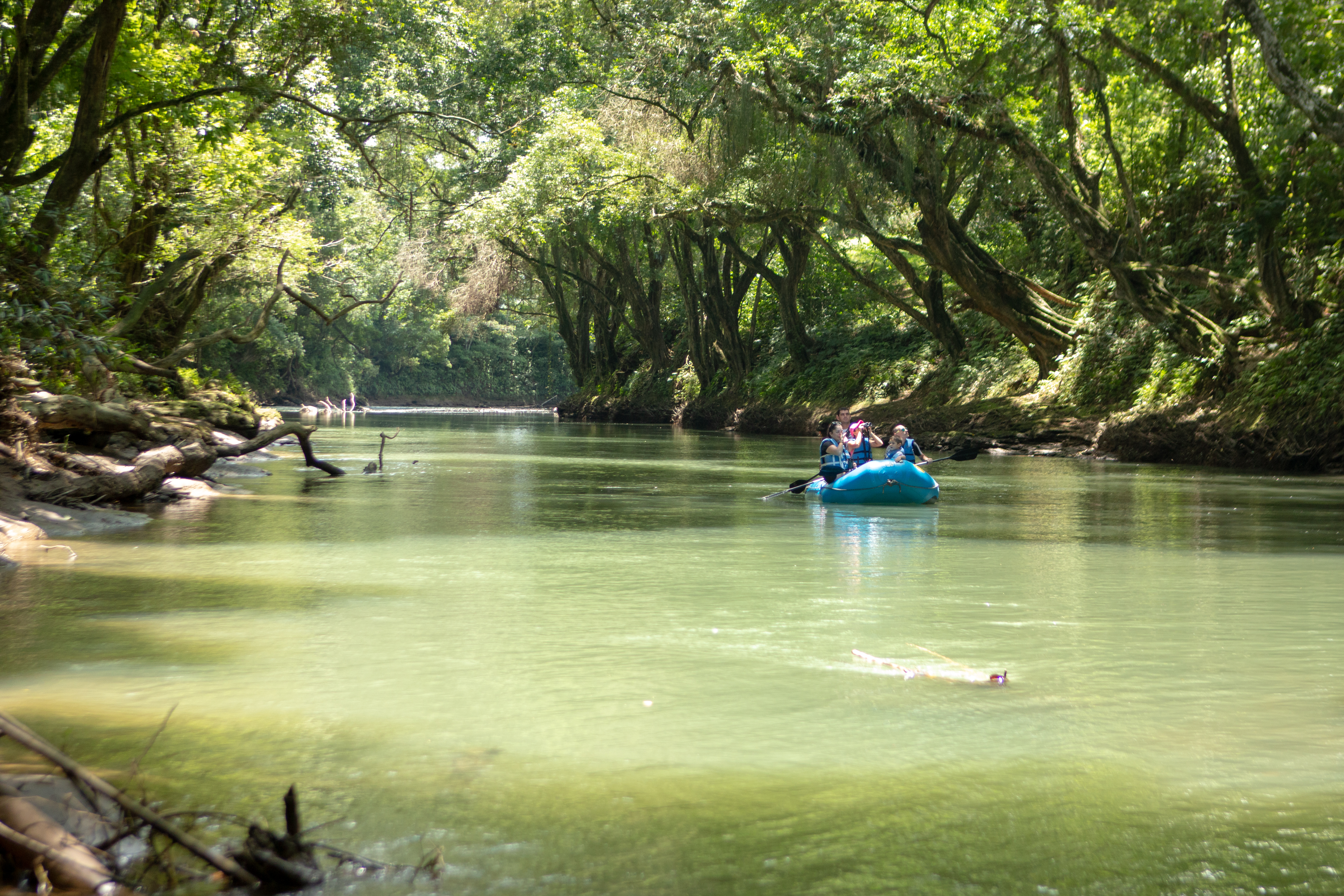 Rainforest Explorers - Arenal Volcano Costa Rica